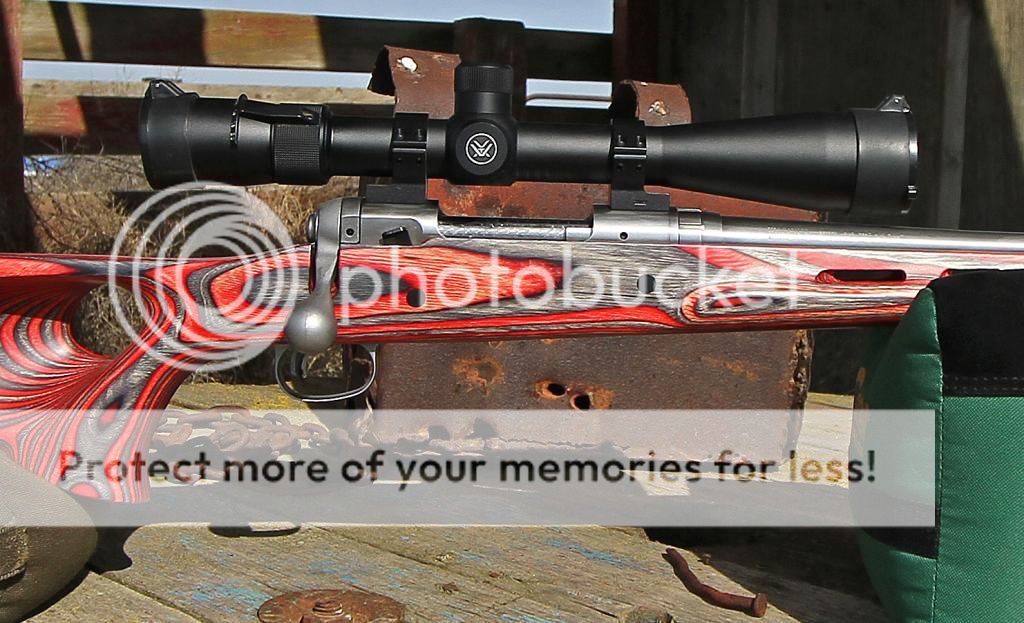 Savage .204 Ruger stainless weather warrior w/ Boyds thumbhole stock ...